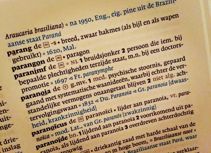 Column: Paranimf - Taalvoutjes