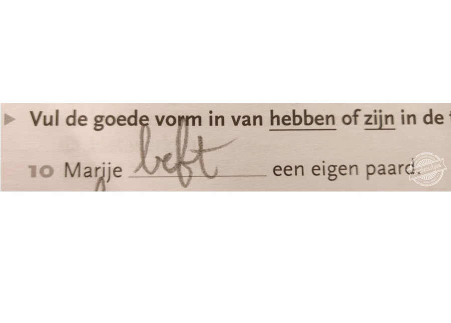 Marije beft een eigen paard | Taalvoutjes