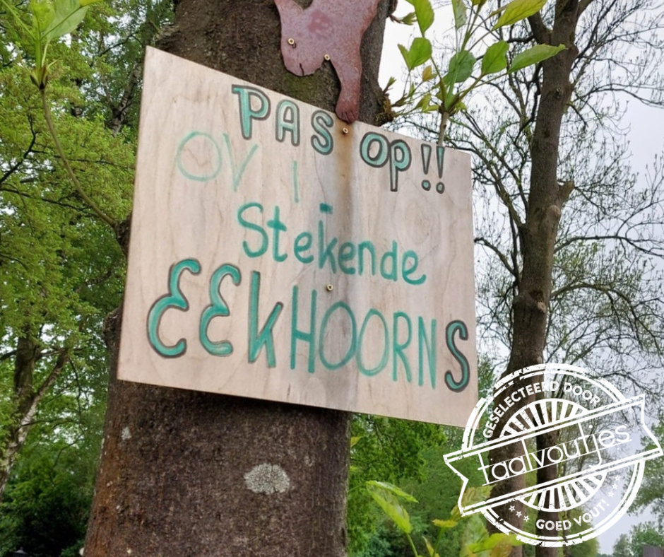 Alle taalvoutjes op een rij - Taalvoutjes